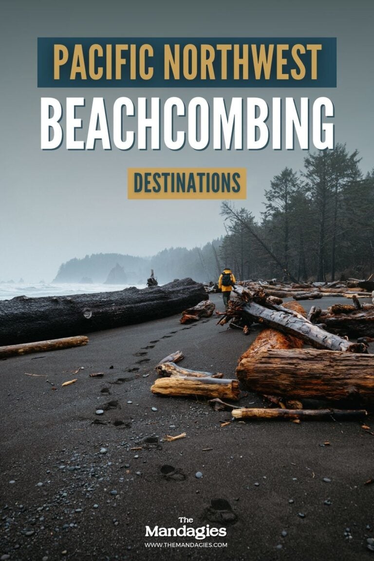 The Complete Guide to Beachcombing in the Pacific Northwest - The Mandagies