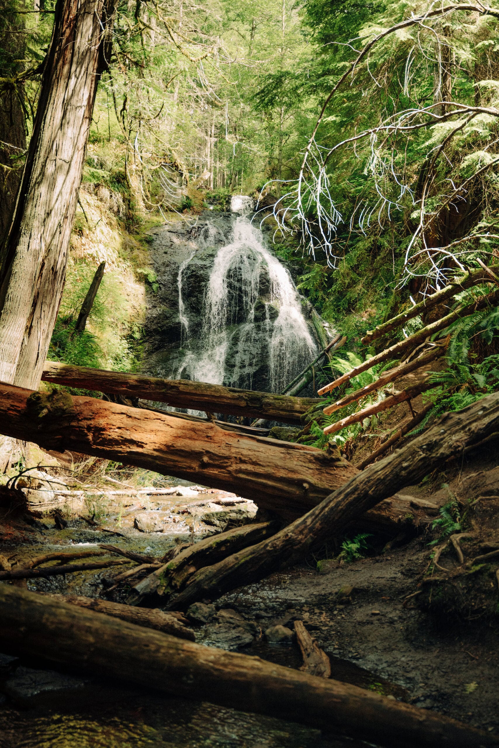 10 Adventurous Things To Do On Orcas Island - The Mandagies