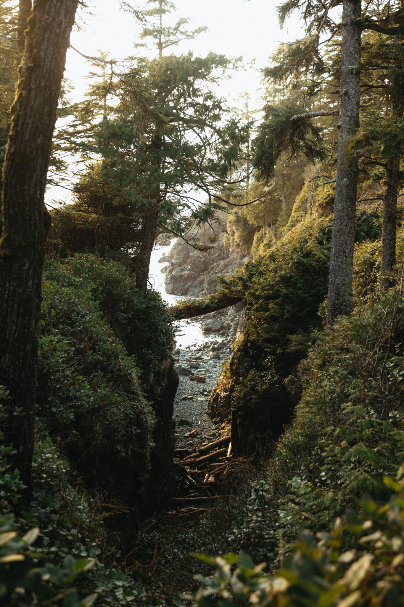 Hike The Wild Pacific Trail In Ucluelet, Canada - The Mandagies
