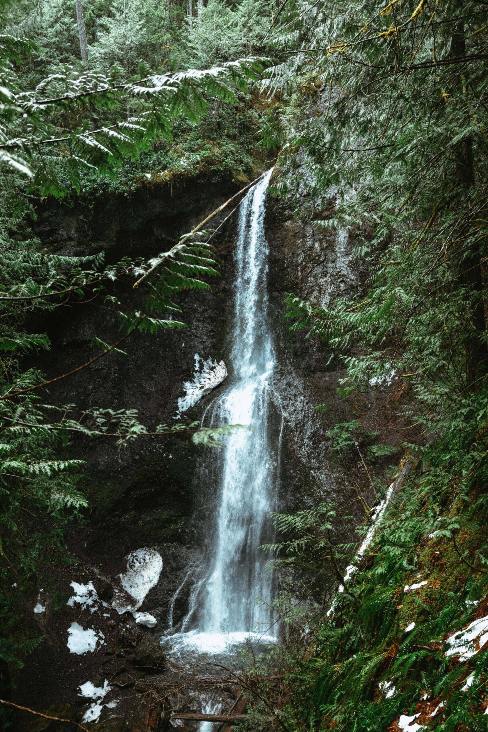 Hike Marymere Falls Trail in Olympic National Park - The Mandagies