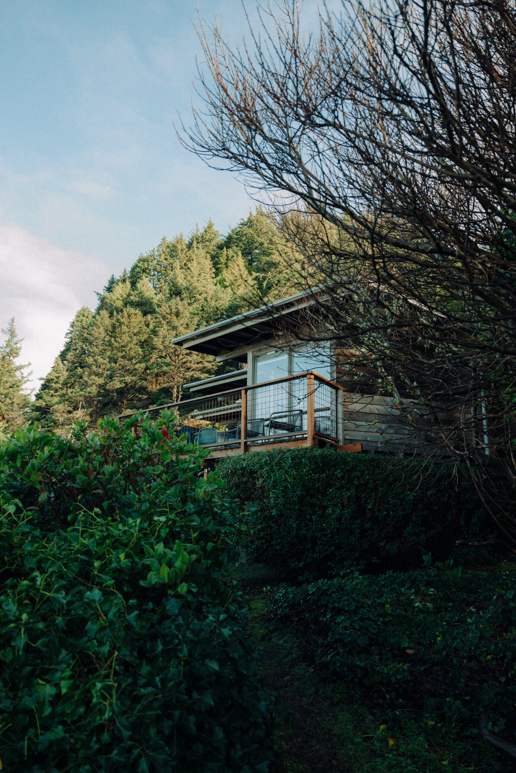 13 EPIC Cabin Rentals on the Oregon Coast - The Mandagies